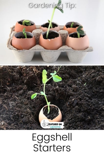 20+ Insanely Clever Gardening Tips and Ideas (flowers & vegetables)