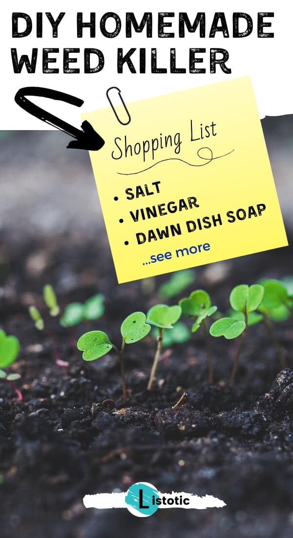 22 Homemade Products You Use Everyday (for less!)