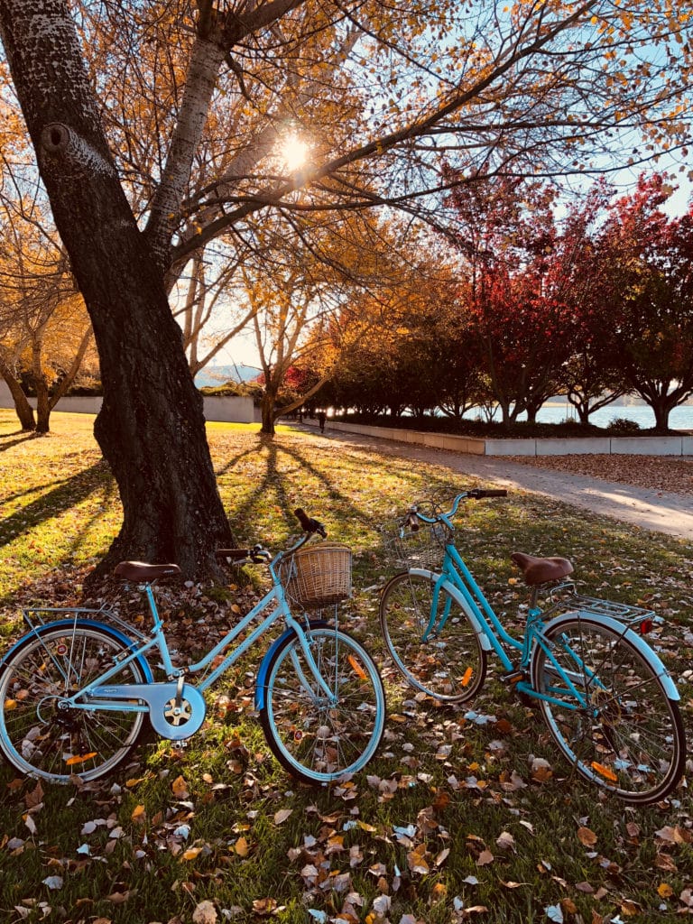 Best Thanksgiving Hashtags for 2021 promotion ⋆ Listotic